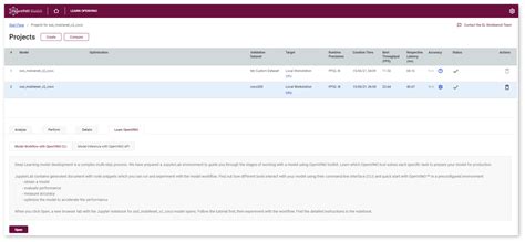 learn model workflow with openvino™ cli in jupyterlab environment