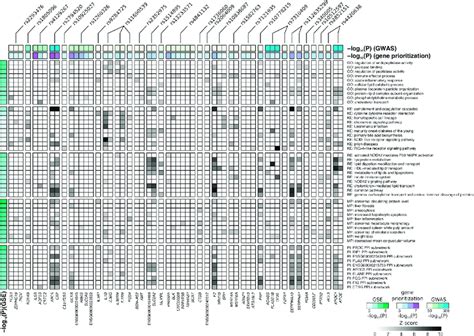 Heatmap Representing The Results Of Depict Functional Annotation