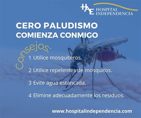 6 De Noviembre Día Del Paludismo En Las Américas
