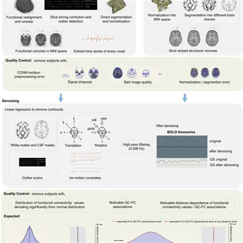 Schematic Diagram Summarizing The Rs Fmri Processing Pipeline Employed