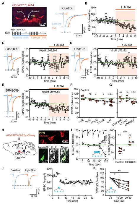 Figures And Data In Oxytocin Functions As A Spatiotemporal Filter For