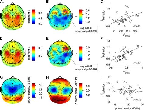 Long Range Temporal Correlations In Resting State Alpha Oscillations