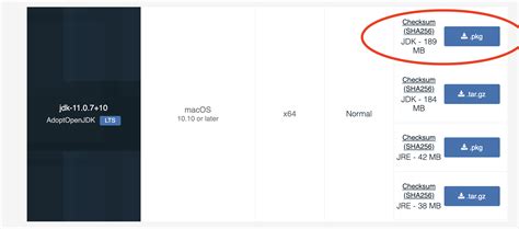 how to run java from macos catalina build 10 15 4 stack
