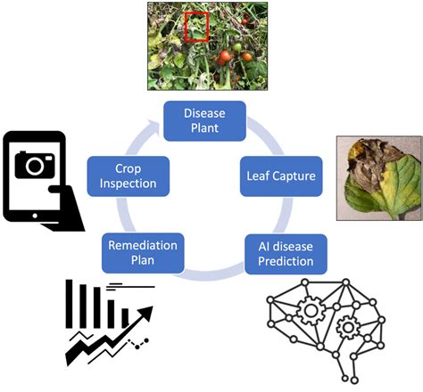 Computer Vision To Detect Plant Disease For Greenhouses — Your Site Title