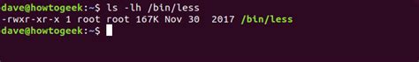 how to use the which command on linux