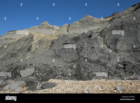 Jurassic Coast Cliff With Recent Rock Falls Of Fossil Bearing Blue Lias