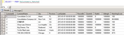 automating the data matching process in sql server data quality