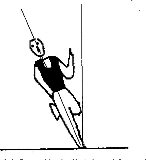 Fosbury Flop Physics