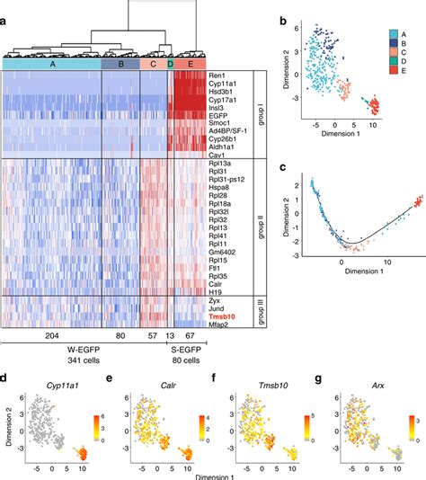 Characterization Of S And W Egfp Cells By Scrna Seq A High Quality