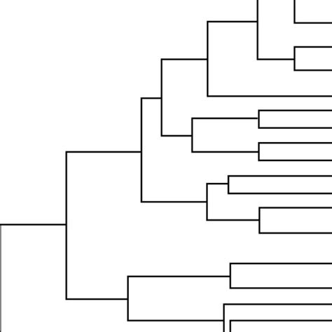 A Dendrogram Showing The Relatedness Of Saccharomyces Strains Based On