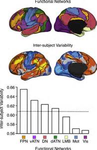 individual variability in functional connectivity architecture of the