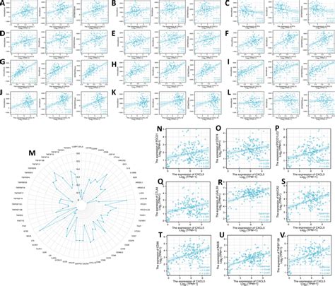 The Correlations Between Cxc Chemokines And Immune Score Stromal