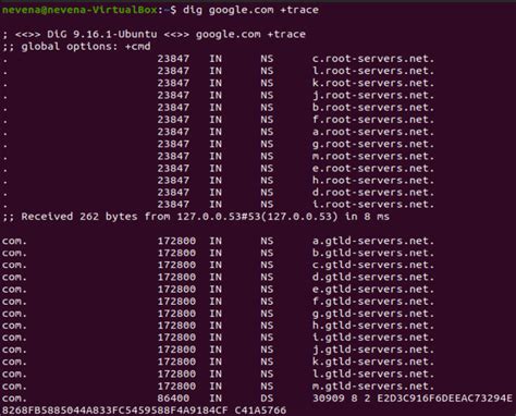 how to use linux dig command dns lookup {with examples}