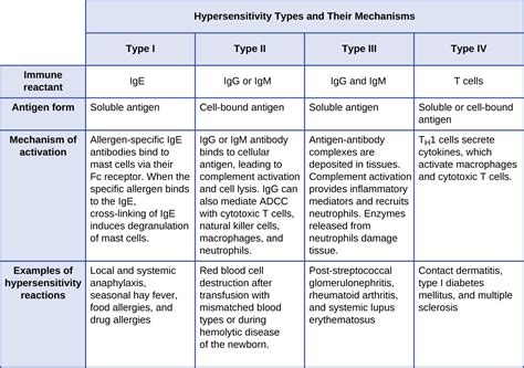 Hypersensitivities Microbiology