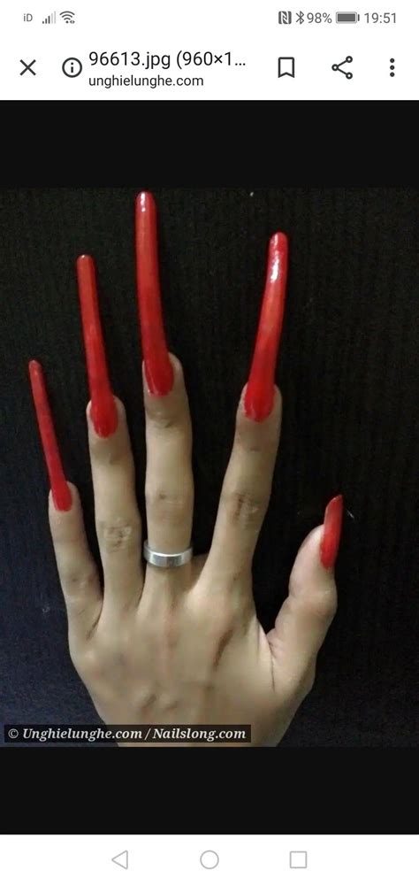 Pin By Alan On Red Nails Curved Nails Sexy Nails Long Red Nails
