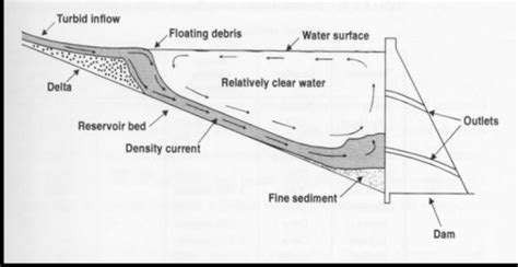 Schematic Diagram Of Reservoir Sedimentation Processes [7] Download
