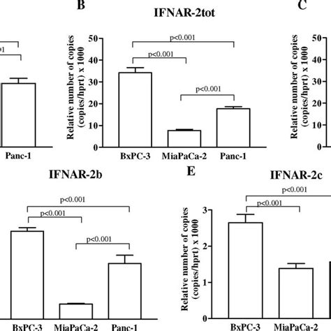 A E Relative Expression Level Of Type I Ifn Receptor Ifnar 1 Ifnar 2
