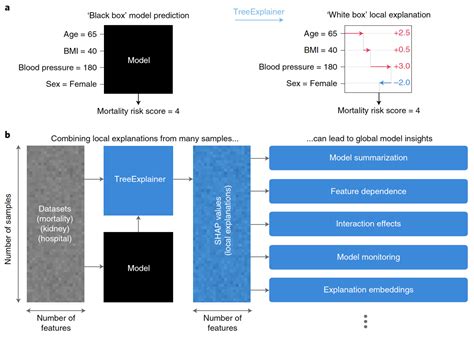 Do Neural Networks Dream Of Falling Snow