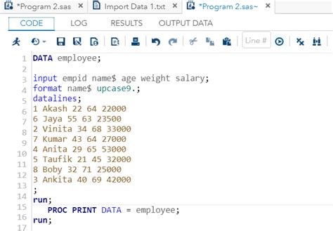 format data sets in sas javatpoint