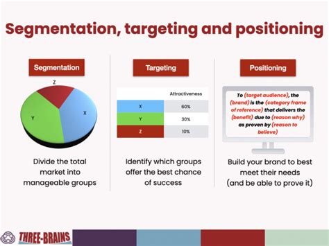Segmentation Targeting Positioning Three Brains Expert How To Guide