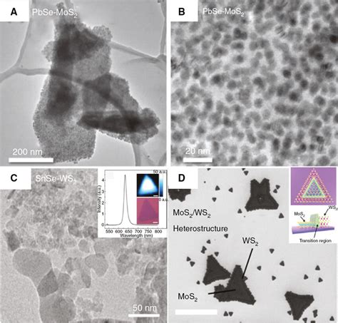A Tem Image Of Epitaxially Grown Pbse Mos2 B Hrtem Image Of The