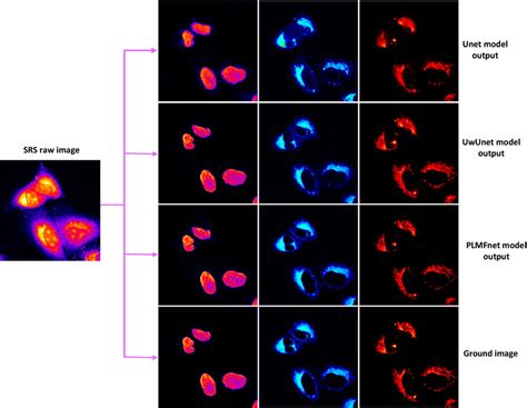 Frontiers Pixel Level Multimodal Fusion Deep Networks For Predicting