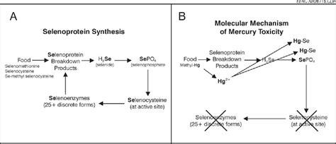 Figure 1 From Jv Task 96 Phase 2 Investigating The Importance Of