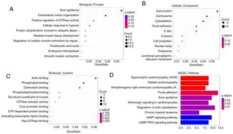 Comprehensive Circular Rna Profiling Reveals The Regulatory Role Of The