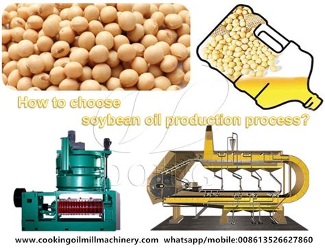 How To Choose Soybean Oil Production Process Blog