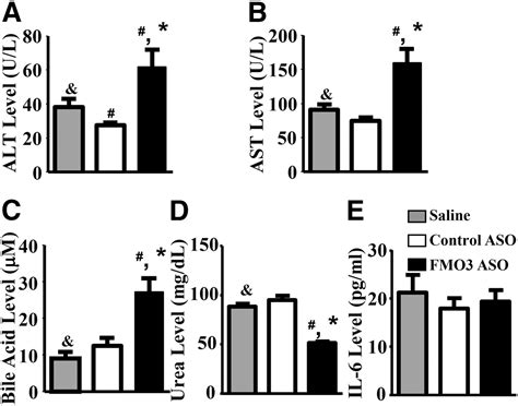 Flavin Containing Monooxygenase 3 Exerts Broad Effects On Glucose And