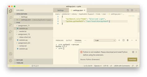 python not installed diagnostic despite showing an interpreter in the