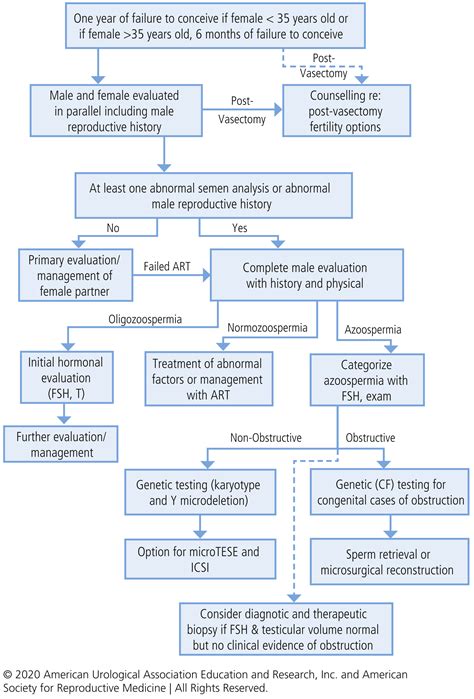 Diagnosis And Treatment Of Infertility In Men Aua Asrm Guideline Part