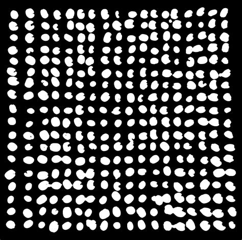 how to count how many white balls there are in an image with opencv