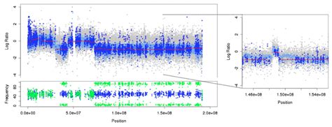 Exome Based Copy Number Results Compared To Snp Array Grey And Wgs