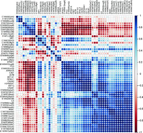 Correlation Analysis Has Shown That Hub Genes I E Nodes With Degree