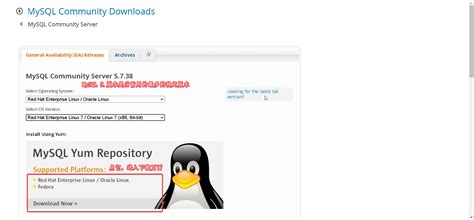 linux（centos 7）安装mysql（小白笔记） 南亭 博客园