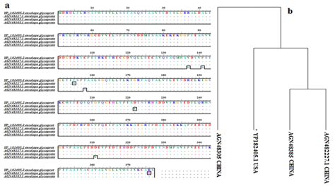 figure 1 a multiple sequence alignment using bioedit software dots
