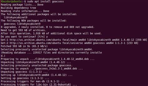 how to install goaccess web log analyzer on ubuntu 20 04 linuxways