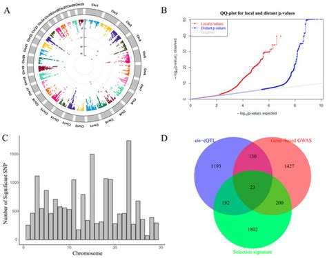 Ijms Free Full Text Cis Eqtl Analysis And Functional Validation Of