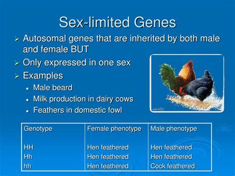 Ppt Exceptions To Mendelian Inheritance Powerpoint Presentation Free
