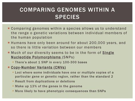 Genomes And Their Evolution Ppt Download