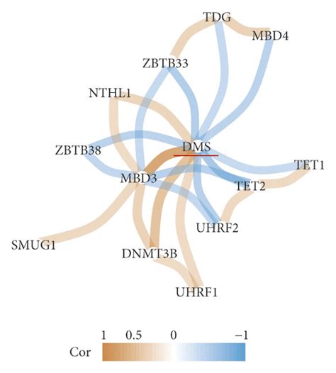 The Relationship Between Dna Methylation And Dms A Principal