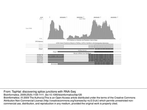 From Tophat Discovering Splice Junctions With Rna Seq Ppt Download