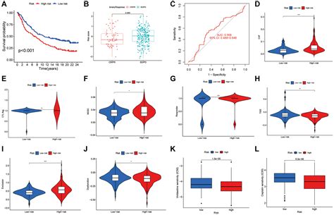 Comprehensive Analysis Of Scrna Seq And Bulk Rna Seq Reveal The