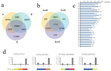 Ijms Free Full Text Transcriptome Analysis Implicates Involvement