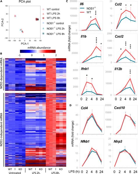 Socs1 Regulates A Subset Of Nfκb Target Genes Through Direct Chromatin