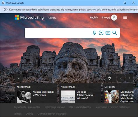 microsoft edge webview2 embed web code in your native application