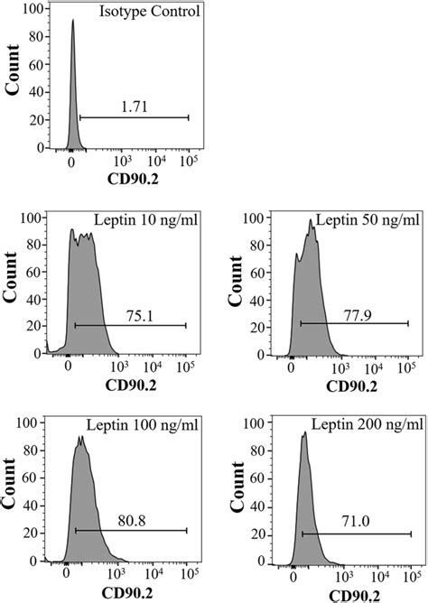 The Percentage Of Cd90 2 Stem Progenitor Spermatogonia After Leptin