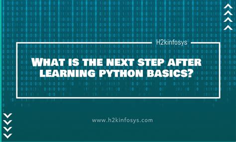 what is the next step after learning python basics