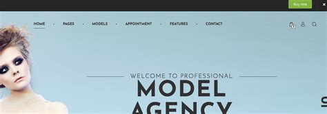 html cakephp 2 x how to include files from external template css